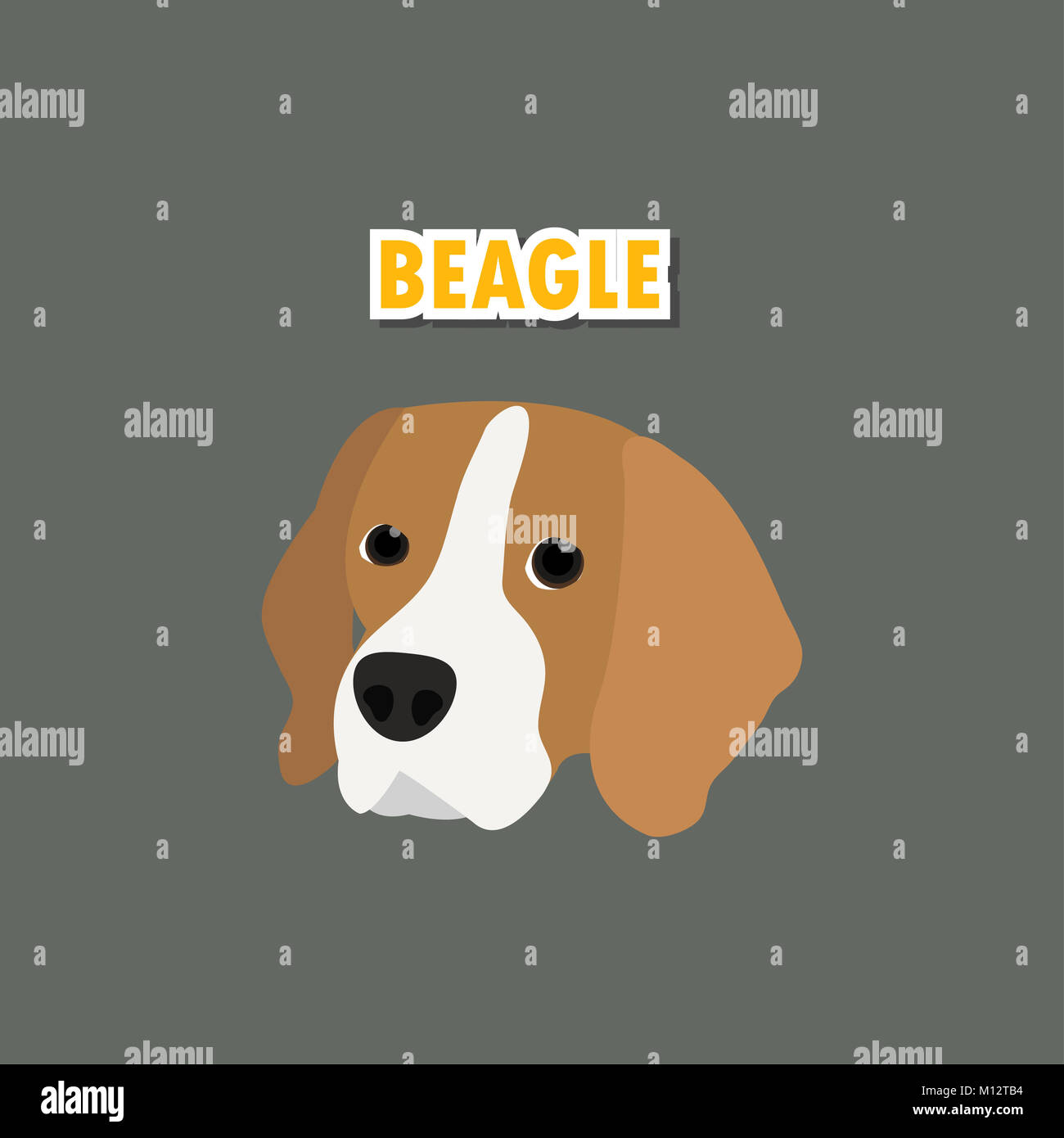 Beagle dog vector Stock Photo - Alamy