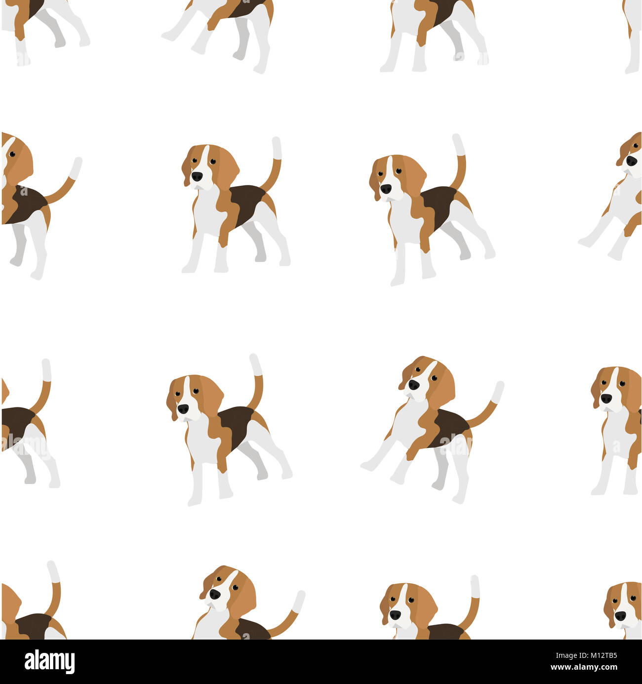 Beagle dog vector Stock Photo - Alamy
