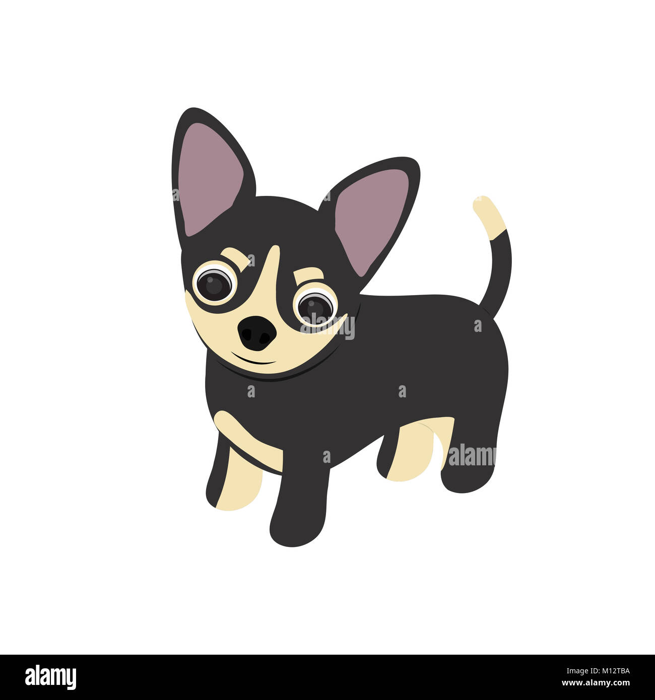 Chihuahua dog vector Stock Photo - Alamy