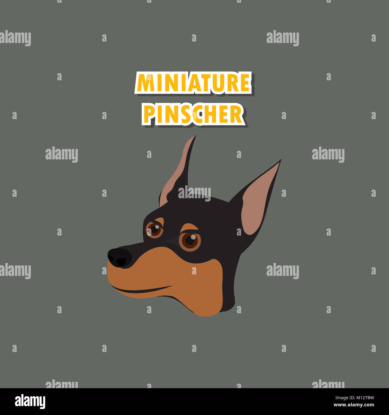 Miniature Pinscher dog vector Stock Photo - Alamy