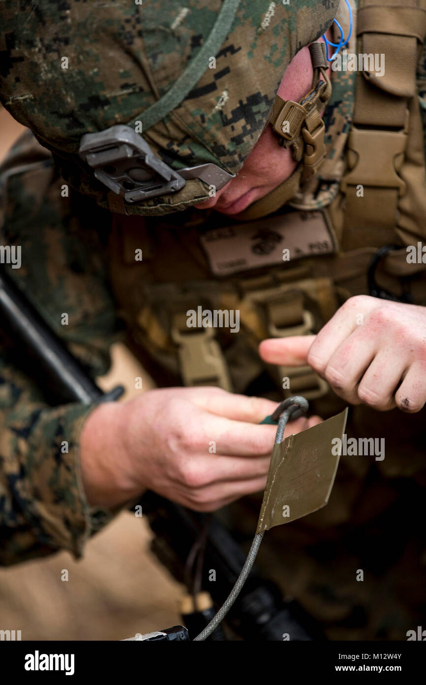 U.S. Marine Corps Pfc. Michael L. Seals Jr, Infantry Assault Marine ...