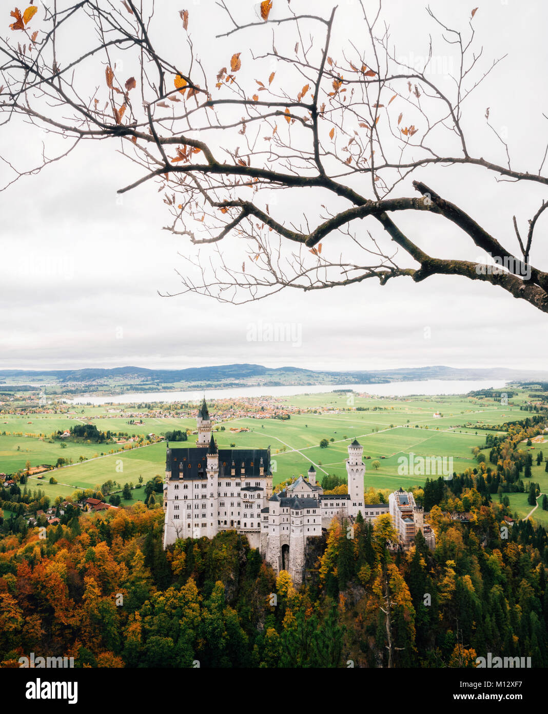 Neuschwanstein castle in colorful autumn day in Bavaria, Germany Stock ...