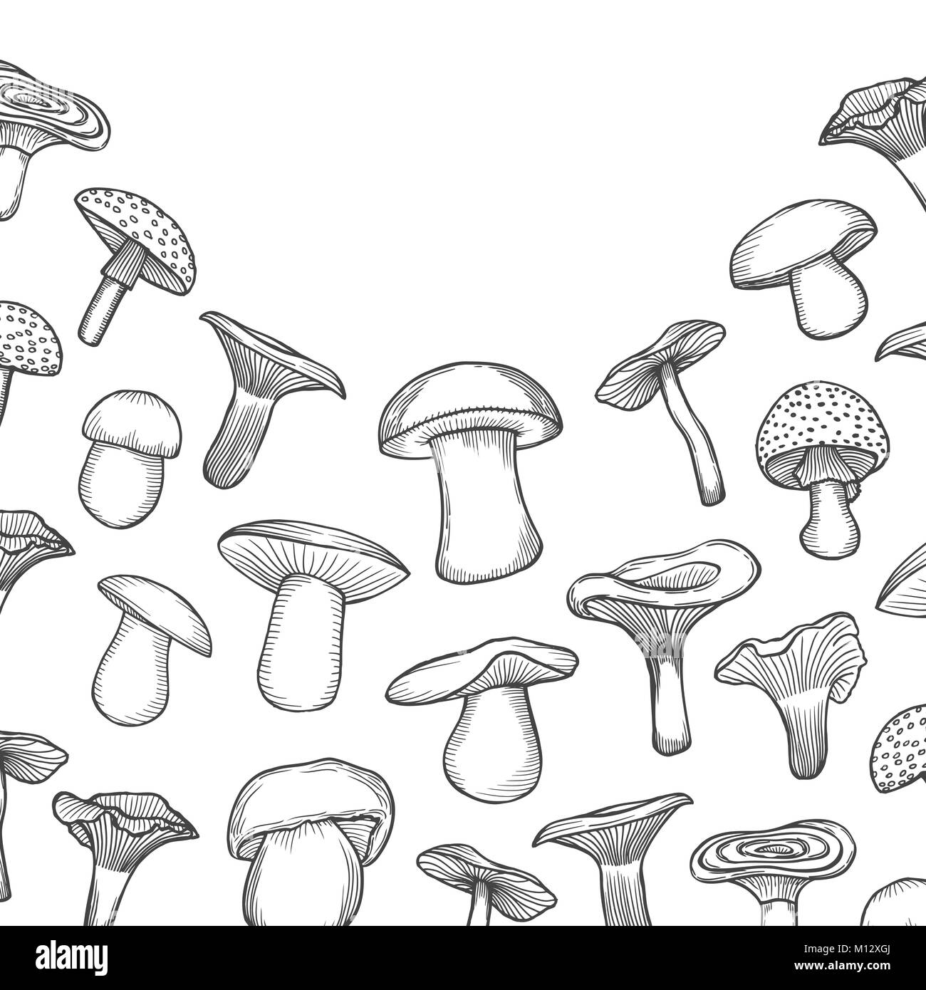 Hand drawn Farmers market menu design template. Mushrooms top view ...