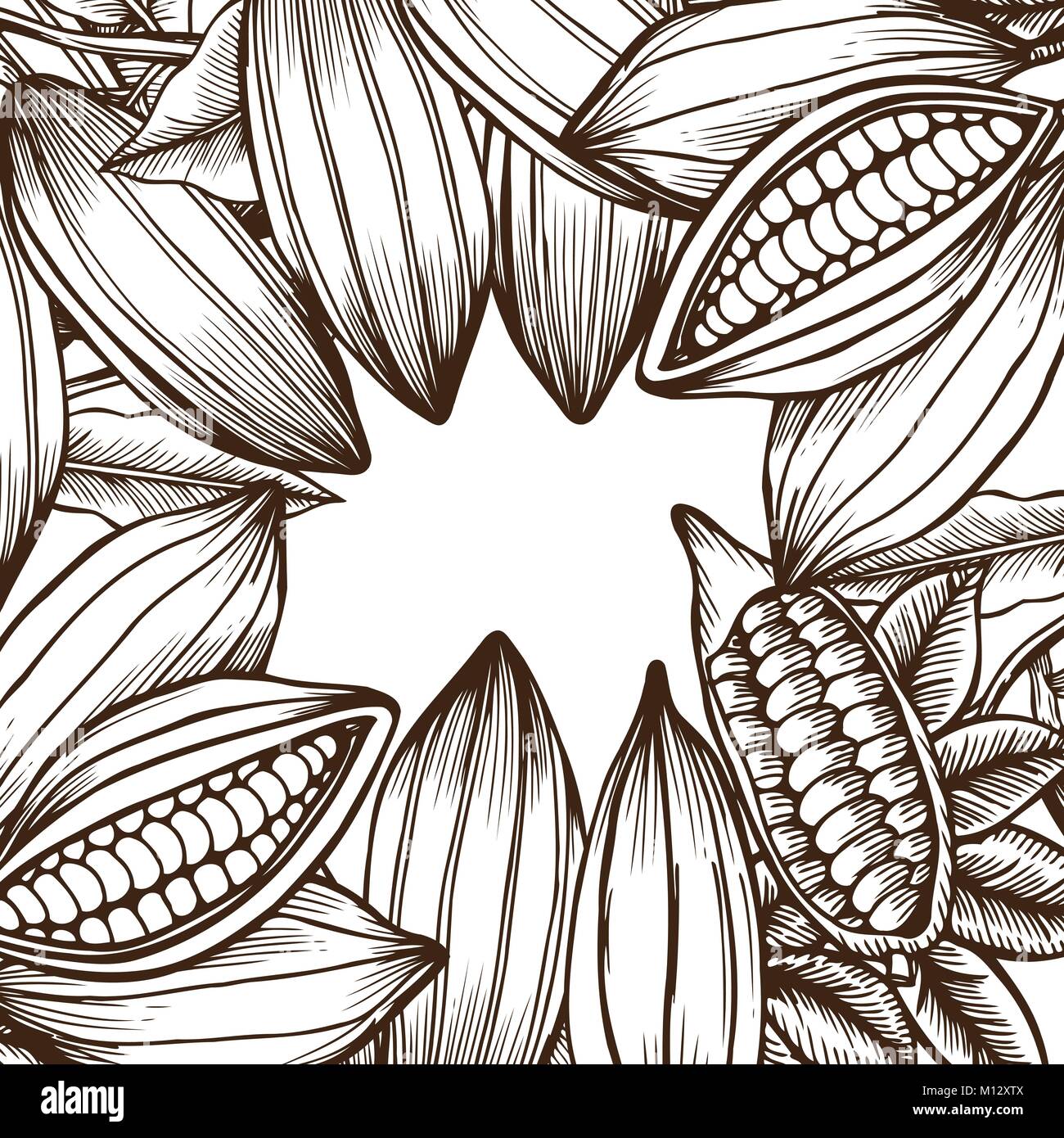 Hand drawn engraving Card design template with cocoa beans. Vintage ...