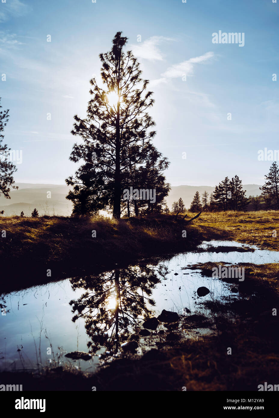 Catherine Gorge High Resolution Stock Photography and Images - Alamy