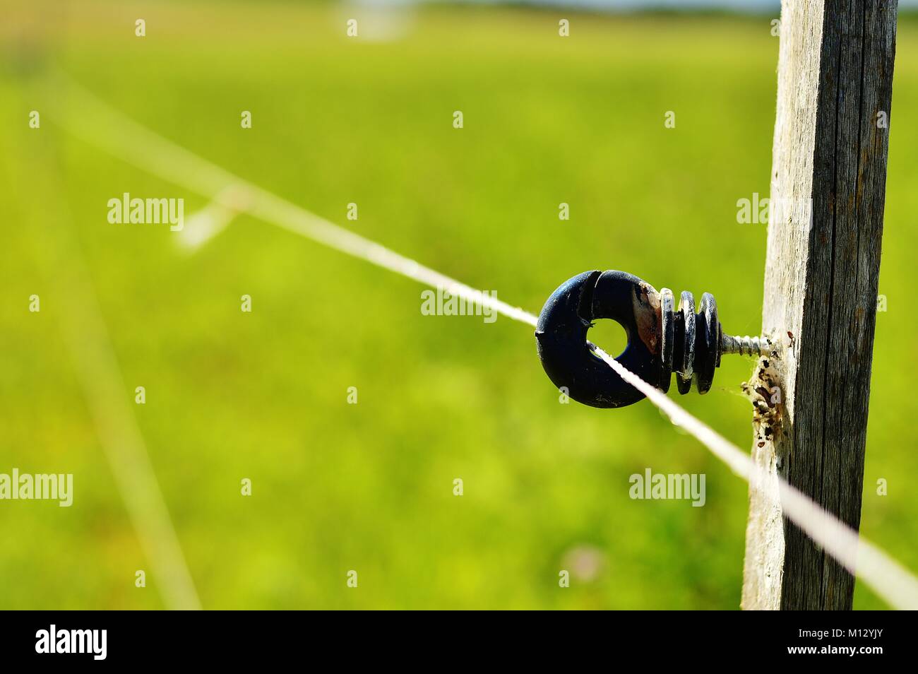 An electric shepherd wire Stock Photo - Alamy