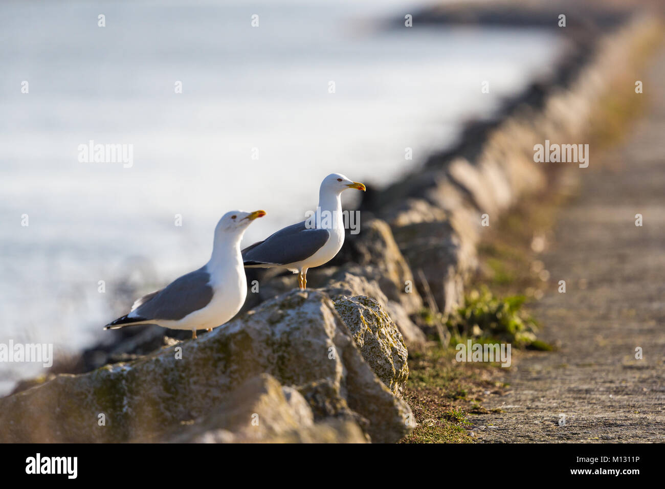 Dock wall hi-res stock photography and images - Alamy