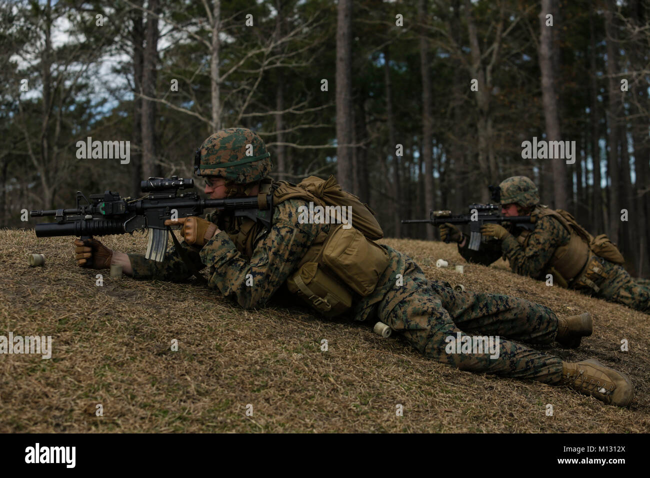 2nd light armored reconnaissance battalion hi-res stock photography and ...