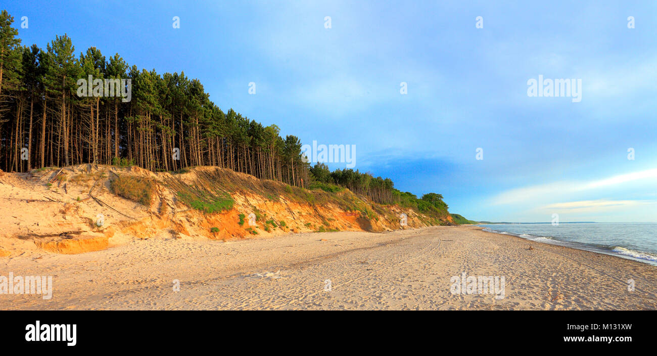 Wooded loess cliff on Baltic Sea shore along beach line in Rowy ...