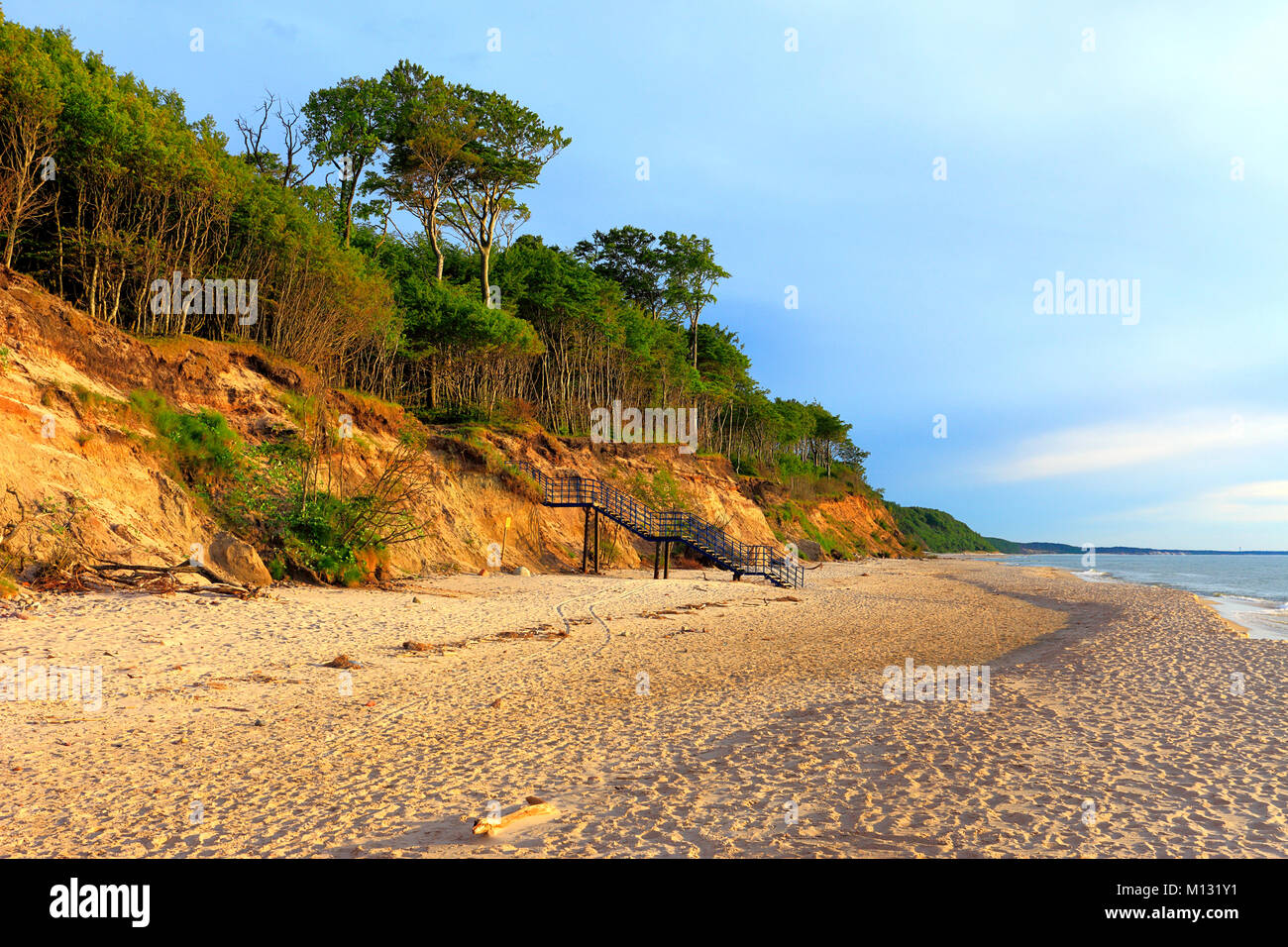 Wooded loess cliff on Baltic Sea shore along beach line in Rowy ...