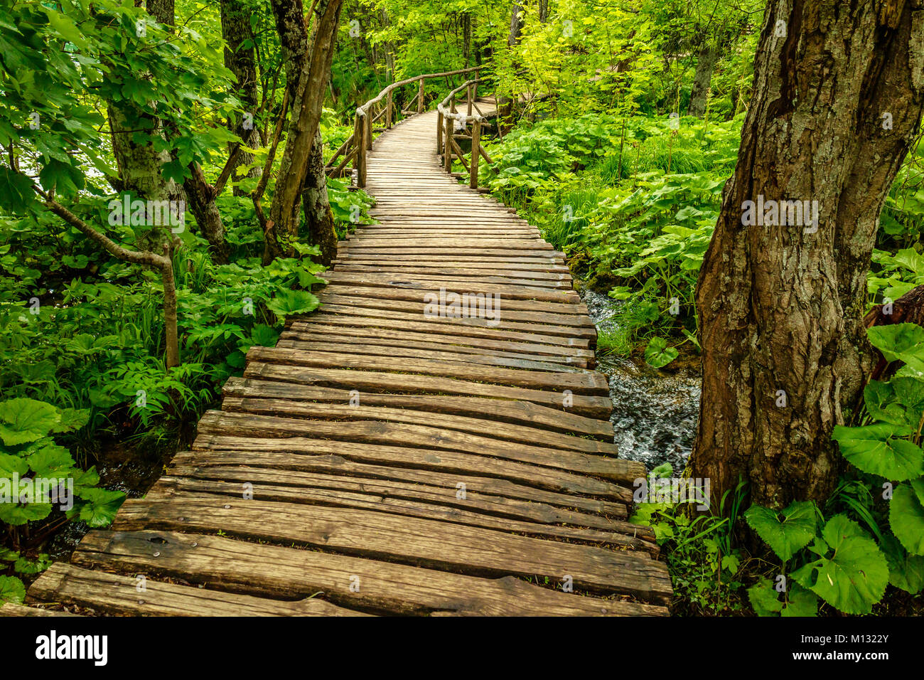Croatian national park hi-res stock photography and images - Alamy