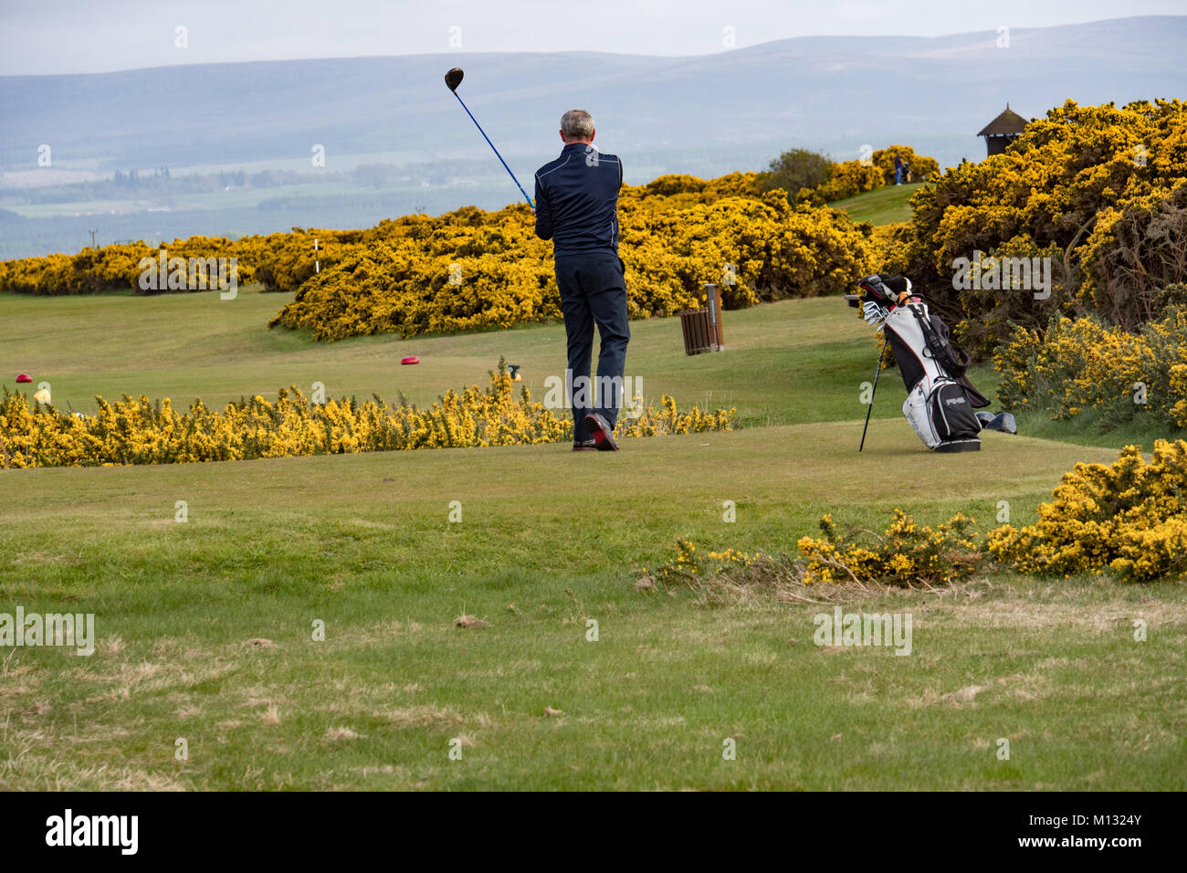 Golfer at Fortrose and Rosemarkie Golf Club, Scotland. UK Stock Photo ...
