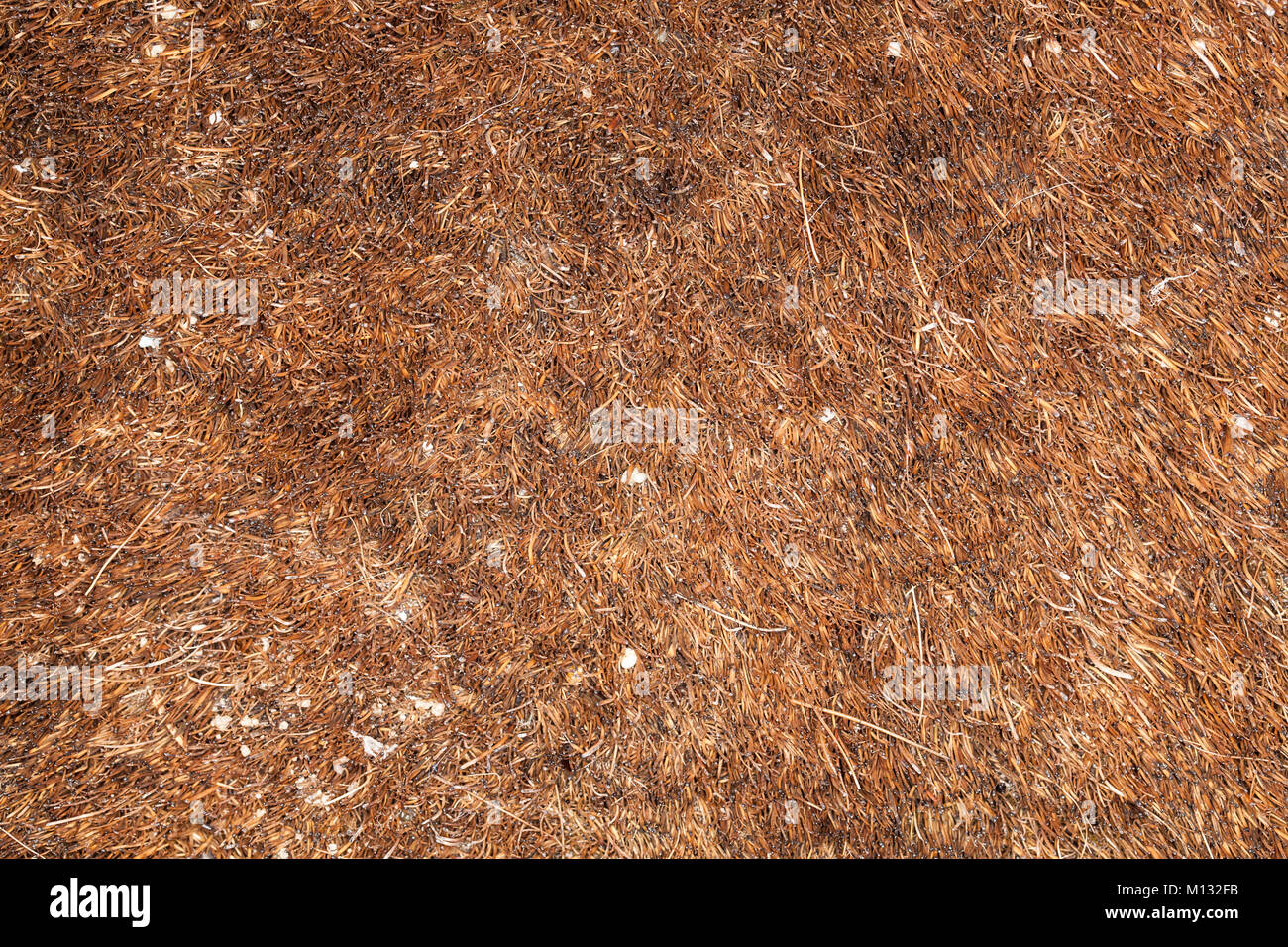old destroyed shoe wiper, hairy background Stock Photo - Alamy