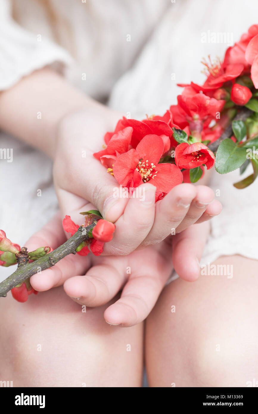 spring - flowers in the hands of a girl Stock Photo - Alamy