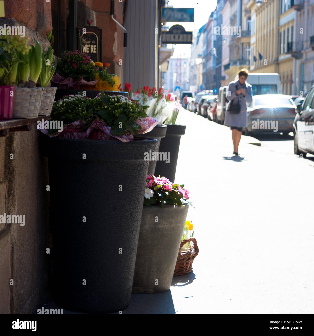 Sunlit pots hi-res stock photography and images - Alamy