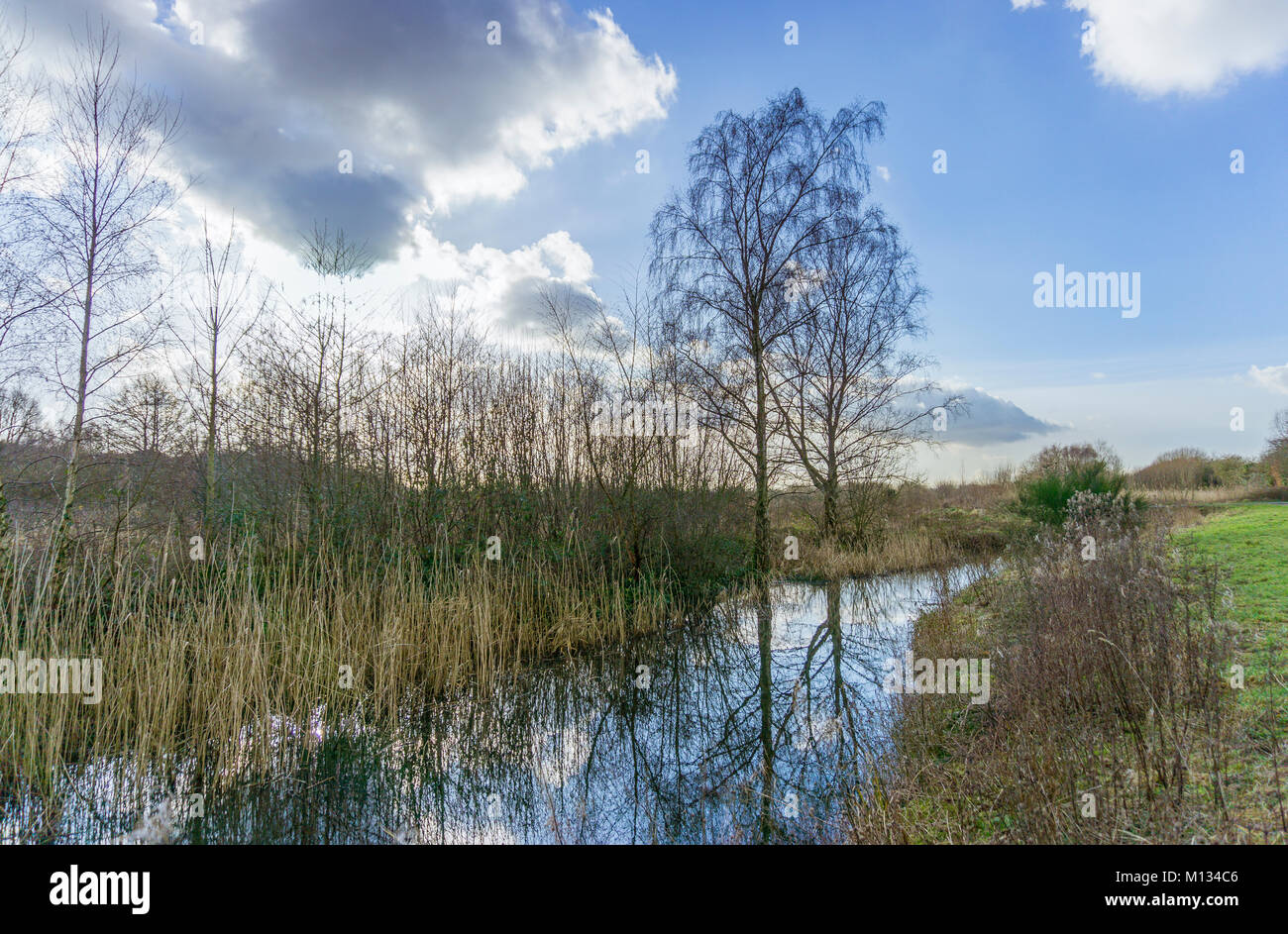 Padgate High Resolution Stock Photography and Images - Alamy