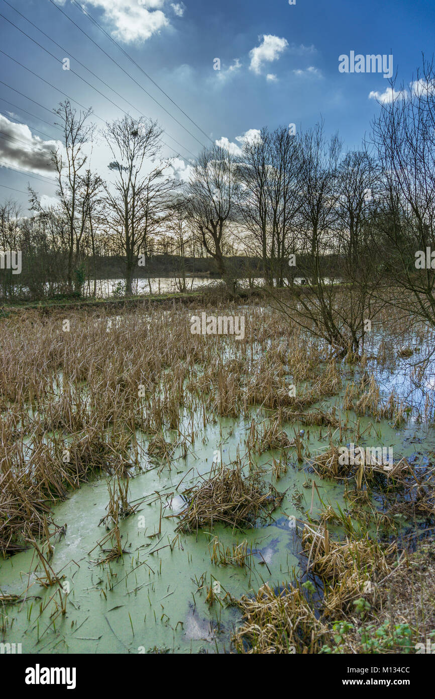 Grey mist hi-res stock photography and images - Alamy