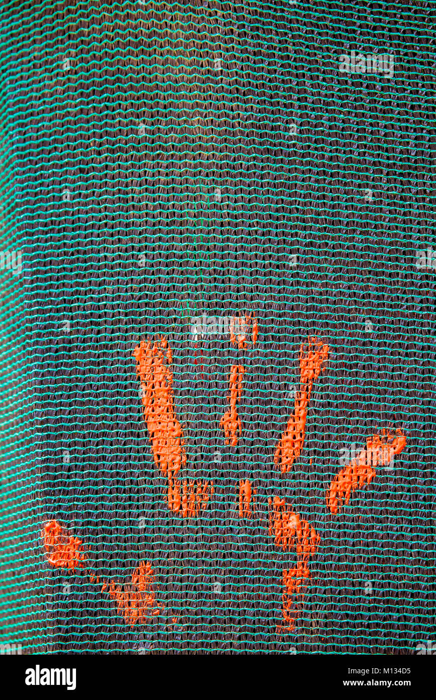 Left hand paint print on a plastic mesh in Cost Rica Stock Photo - Alamy