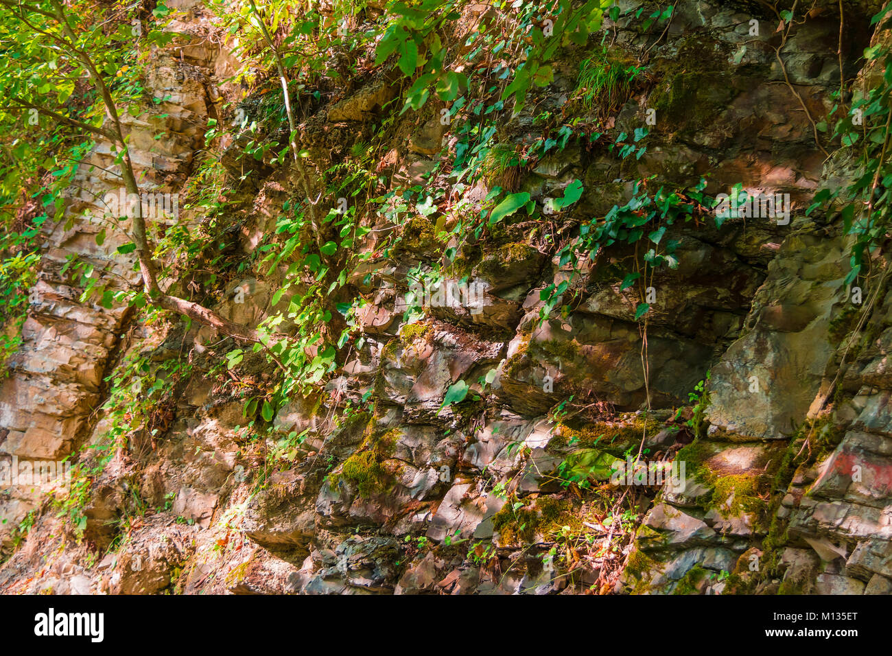 Horizontal stratum hi-res stock photography and images - Alamy