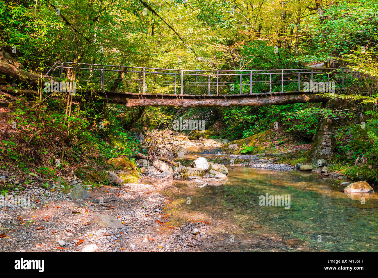 The beam bridge over the mountain river Bezumenka in the ravine in ...
