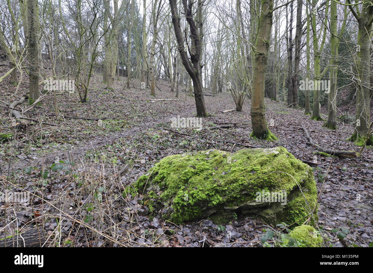 The Great Stone of Lyng, Norfolk, UK Stock Photo - Alamy