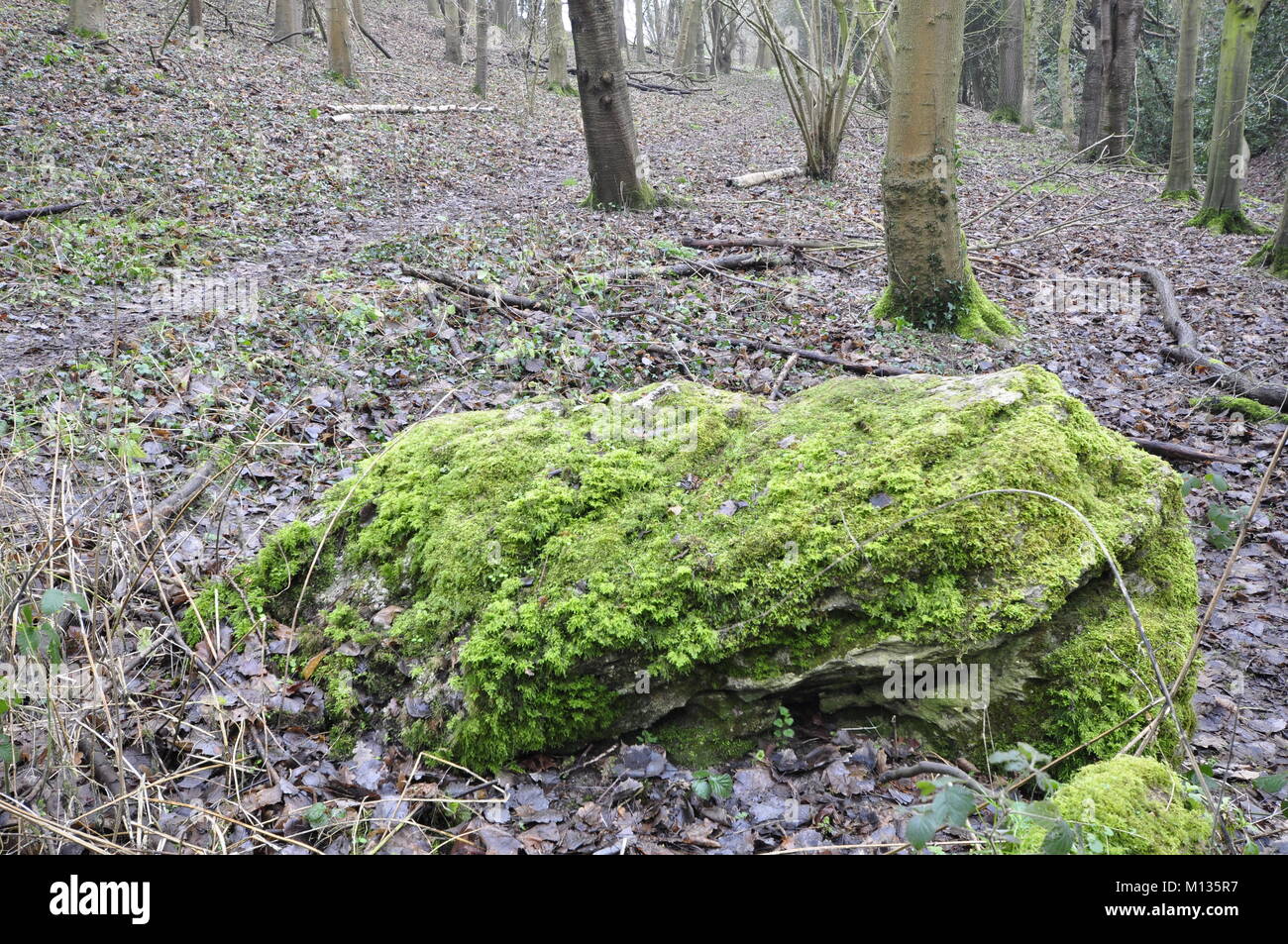 The Great Stone of Lyng, Norfolk, UK Stock Photo - Alamy