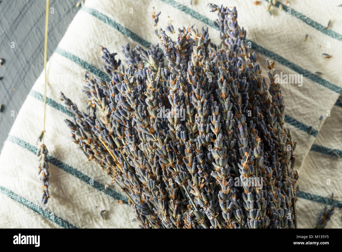 Fresh lavender bundle hi-res stock photography and images - Alamy