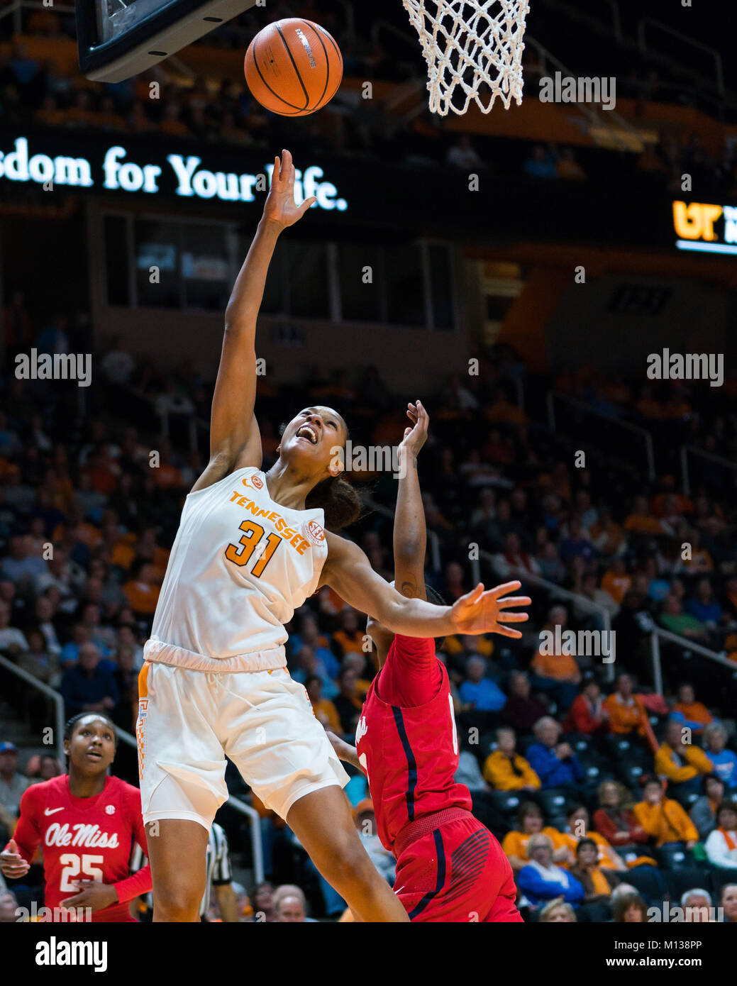 Jaime nared hi-res stock photography and images - Alamy