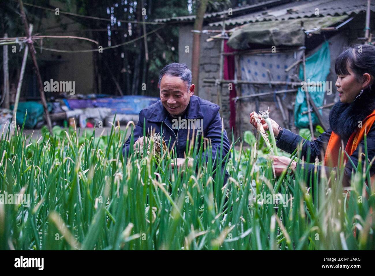 Chengdu, Chengdu, China. 26th Jan, 2018. Chengdu, CHINA-January 2018 ...