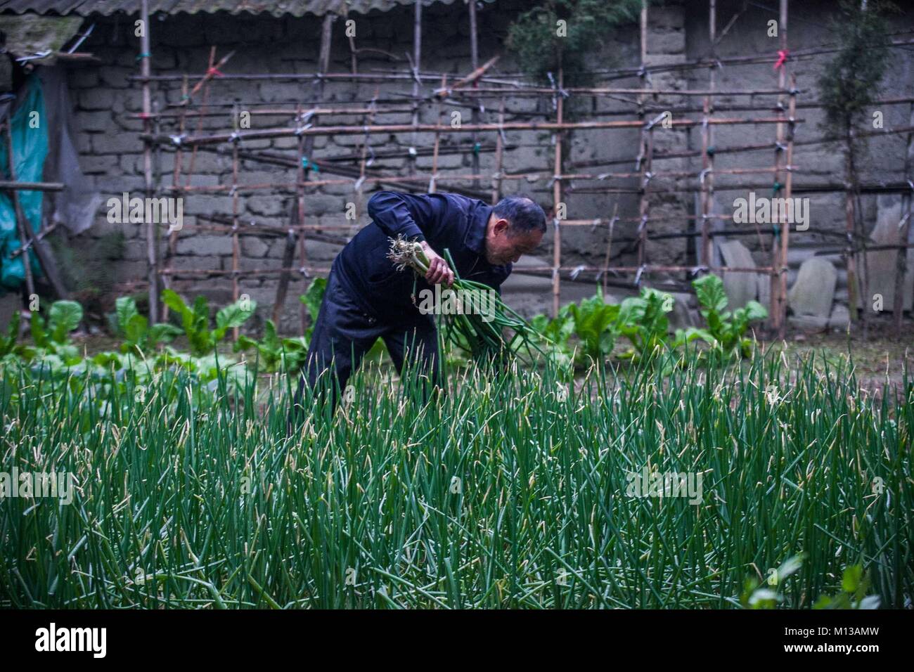 Chengdu, Chengdu, China. 26th Jan, 2018. Chengdu, CHINA-January 2018 ...