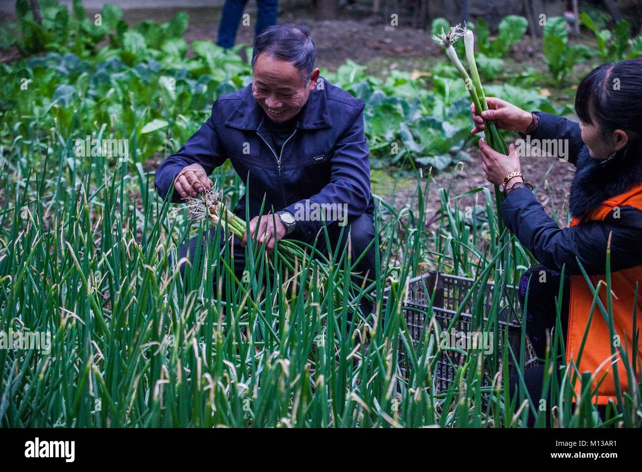 Chengdu, Chengdu, China. 26th Jan, 2018. Chengdu, CHINA-January 2018 ...