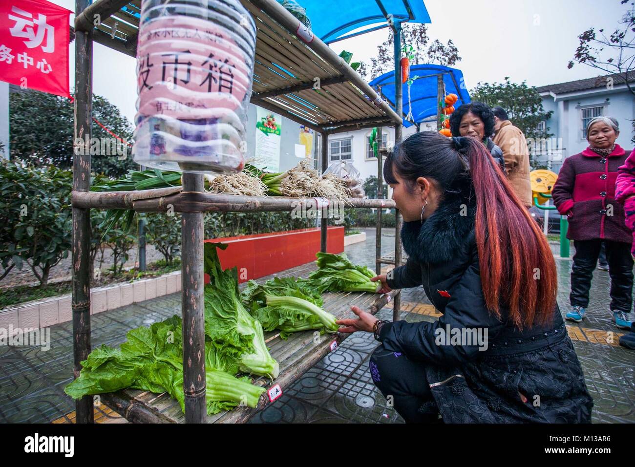 Chengdu, Chengdu, China. 26th Jan, 2018. Chengdu, CHINA-January 2018 ...