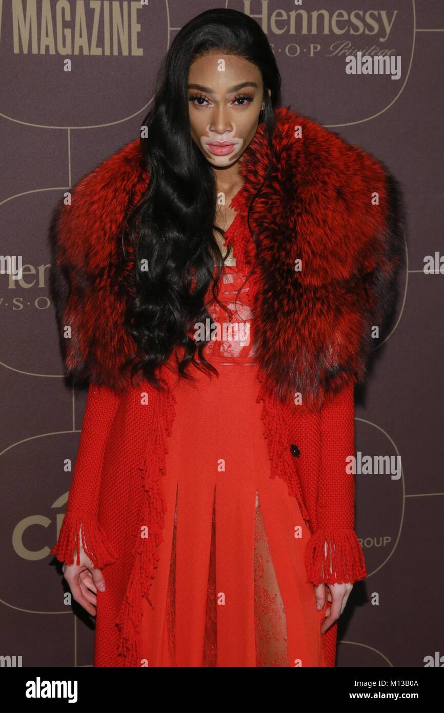 New York, NY, USA. 25th Jan, 2018. Chantelle Brown-Young at arrivals ...