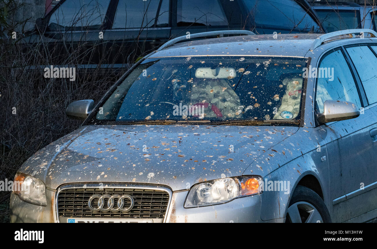 Chipping, Preston, Lancashire. 26th Jan, 2018. UK Weather: Droppings on ...