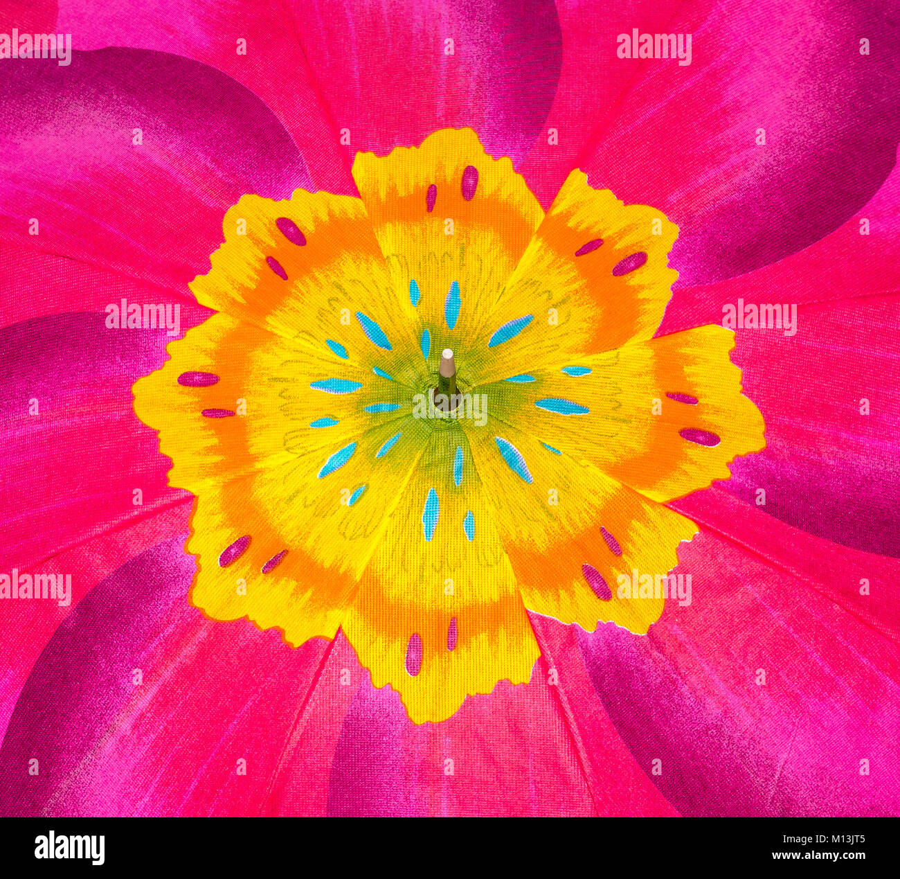 Umbrella like flower hi-res stock photography and images - Alamy