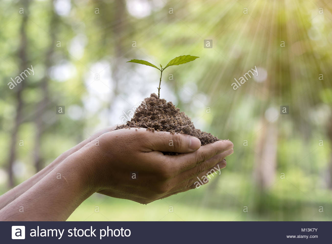 Farmer Sowing Seeds By Hand Stock Photos & Farmer Sowing Seeds By Hand ...
