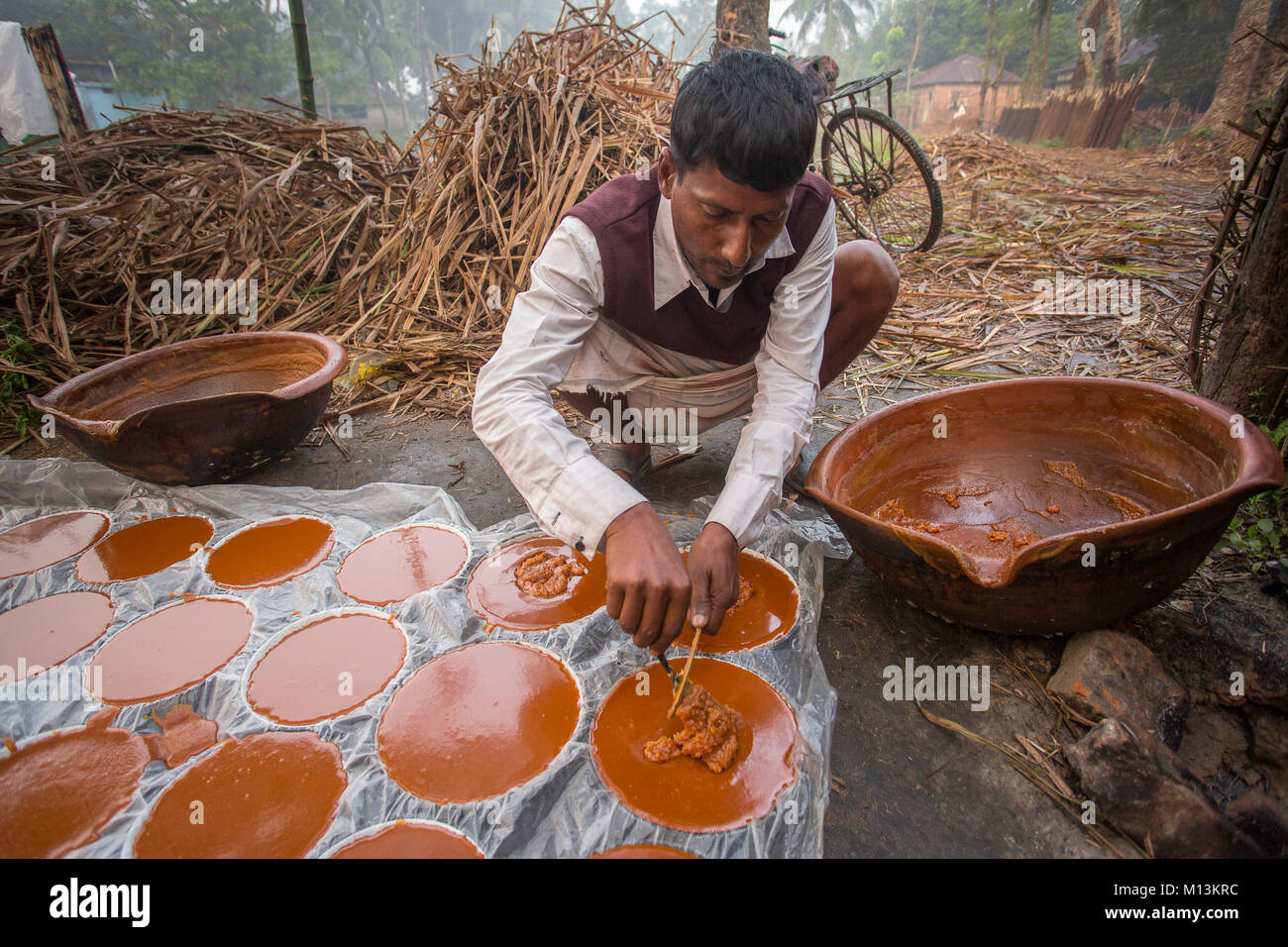 Khejur gaach hi-res stock photography and images - Alamy