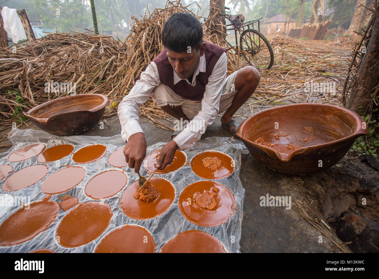 Khejur gaach hi-res stock photography and images - Alamy