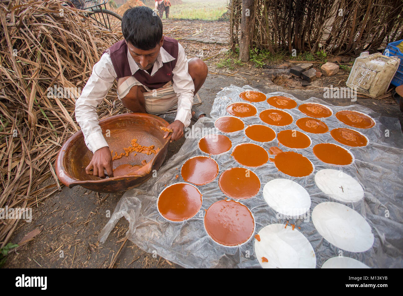 Khejur gaach hi-res stock photography and images - Alamy