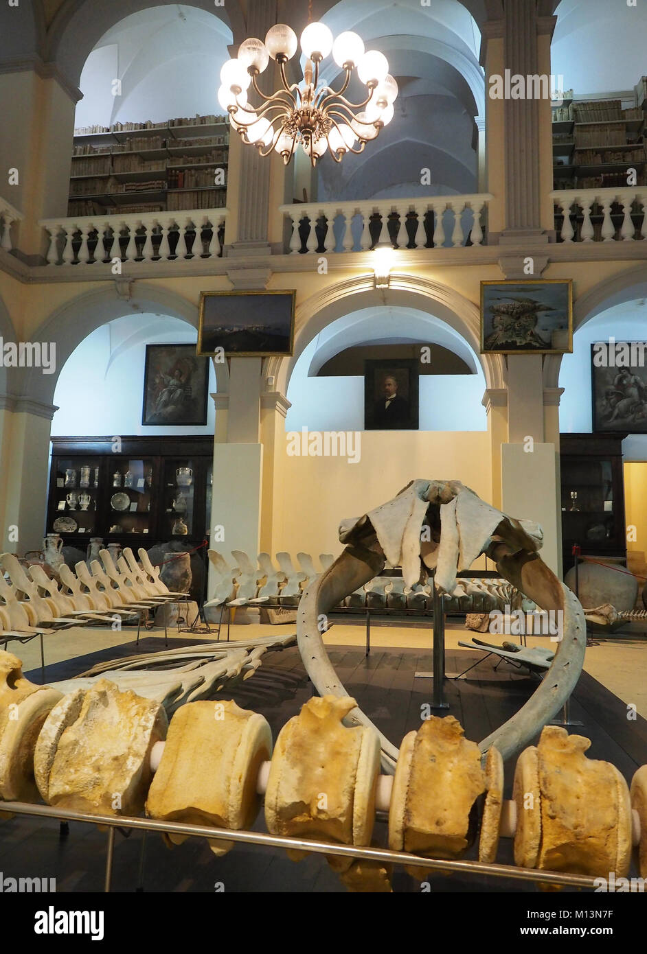 Europe,Italy,Apulia,Salento,Gallipoli,The public library and museum ...