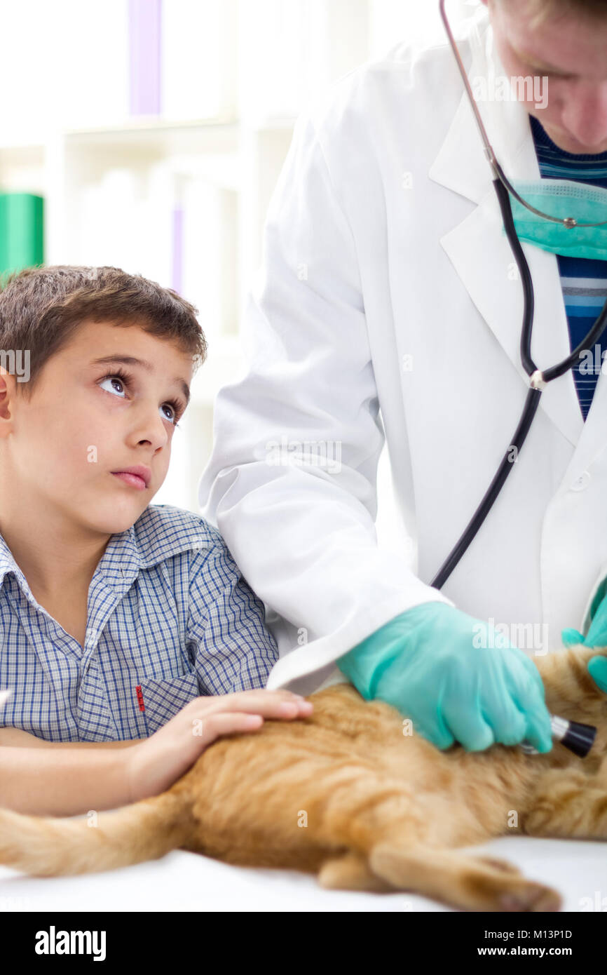 Veterinary clinic child hi-res stock photography and images - Alamy