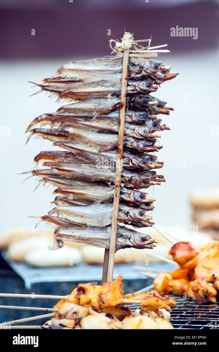 Sheatfishes hi-res stock photography and images - Alamy