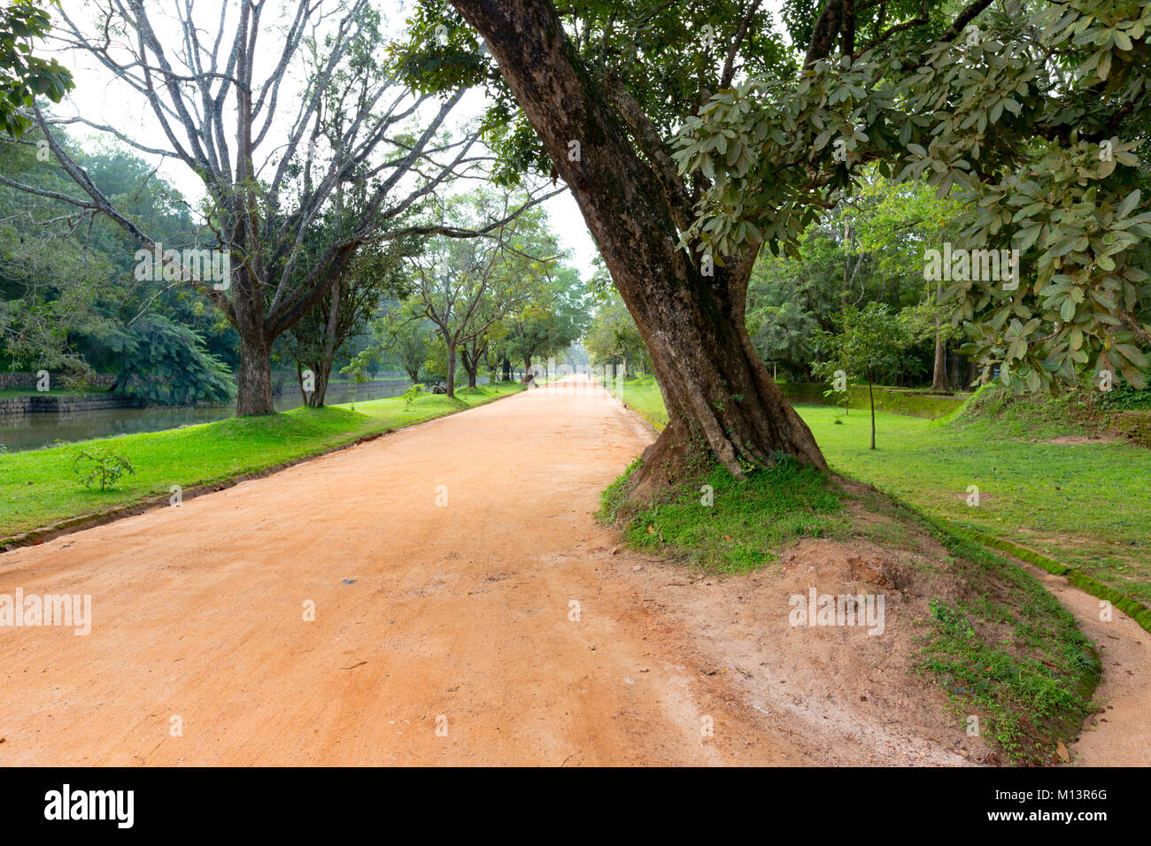 Rut road in park near Sigiriya Lion Castle, Srilanka Stock Photo - Alamy