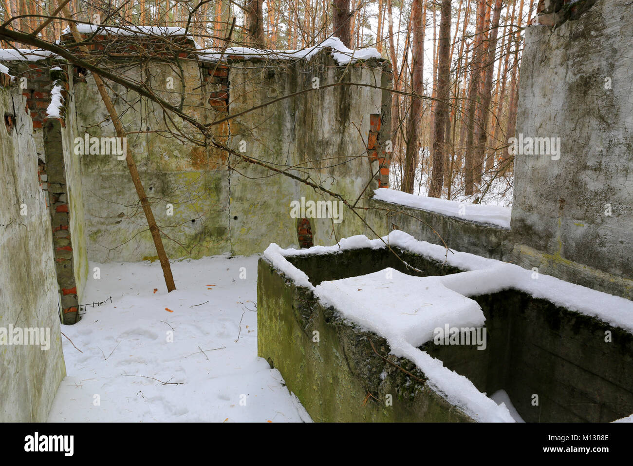 old broken laboratory house in winter forest Stock Photo - Alamy