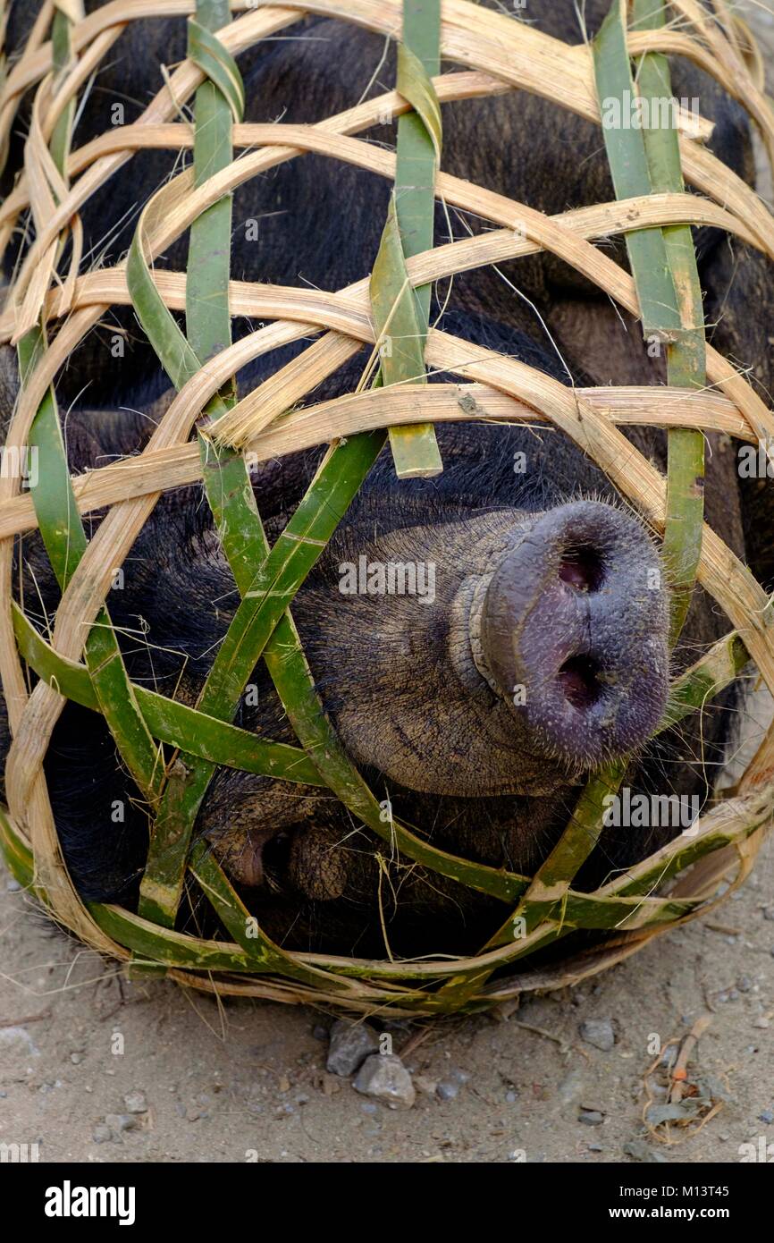 Vietnam, Ha Giang, Sin man ou Xin Man district, Sin Man market, black ...