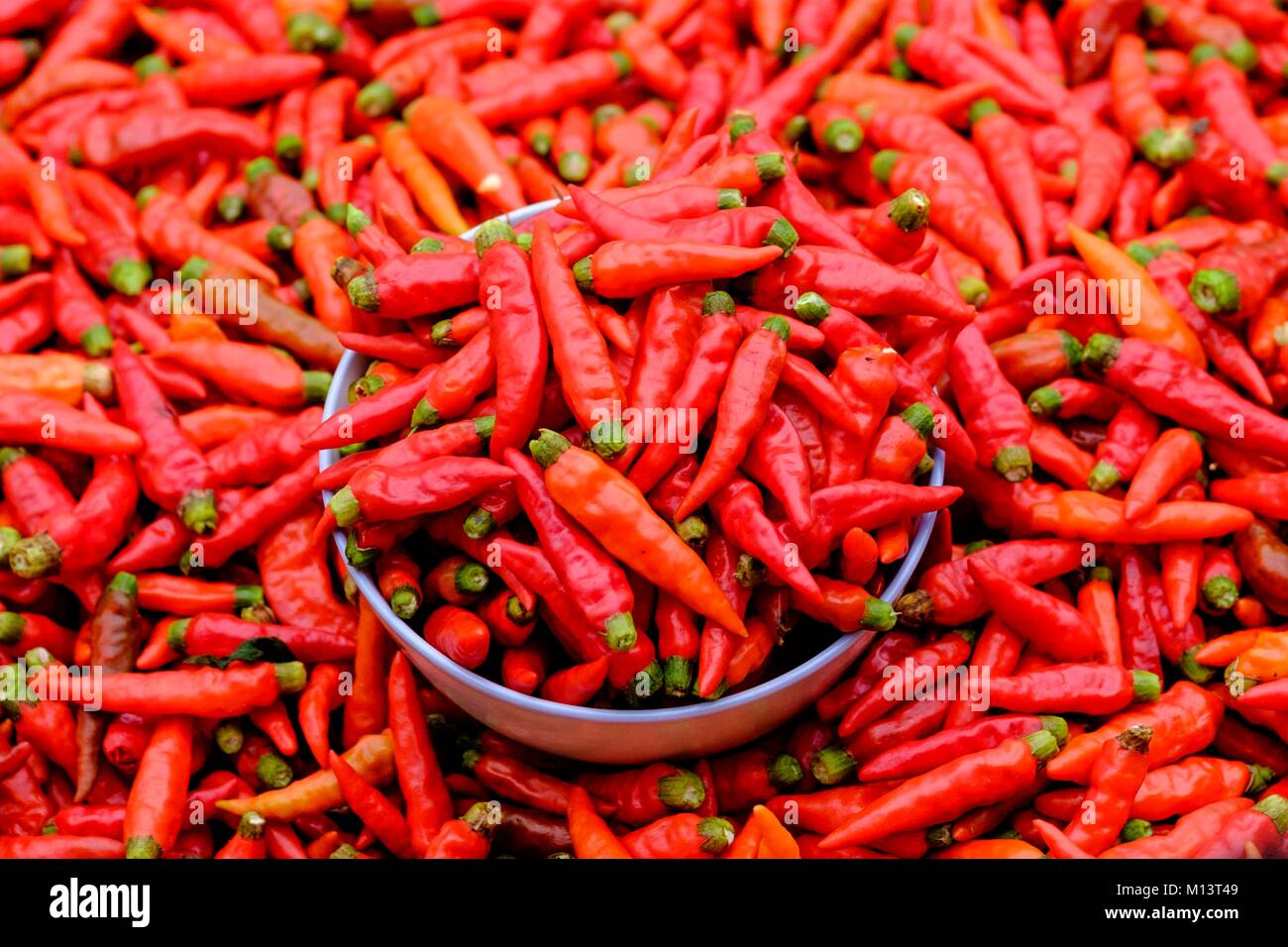 Vietnam, Bac Ha, red hot chillies Stock Photo - Alamy