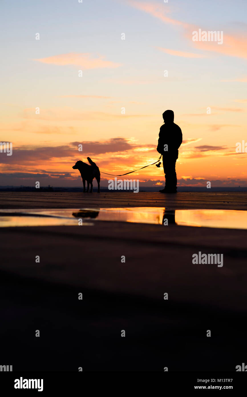 Silhouette of man with his dog at sunset on background Stock Photo - Alamy