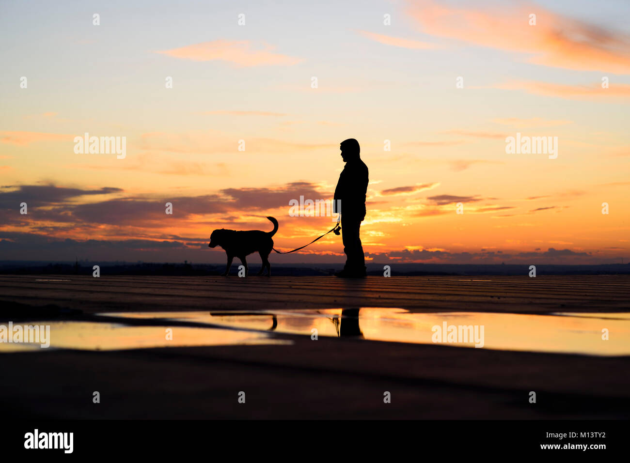 Silhouette of man with his dog at sunset on background Stock Photo - Alamy