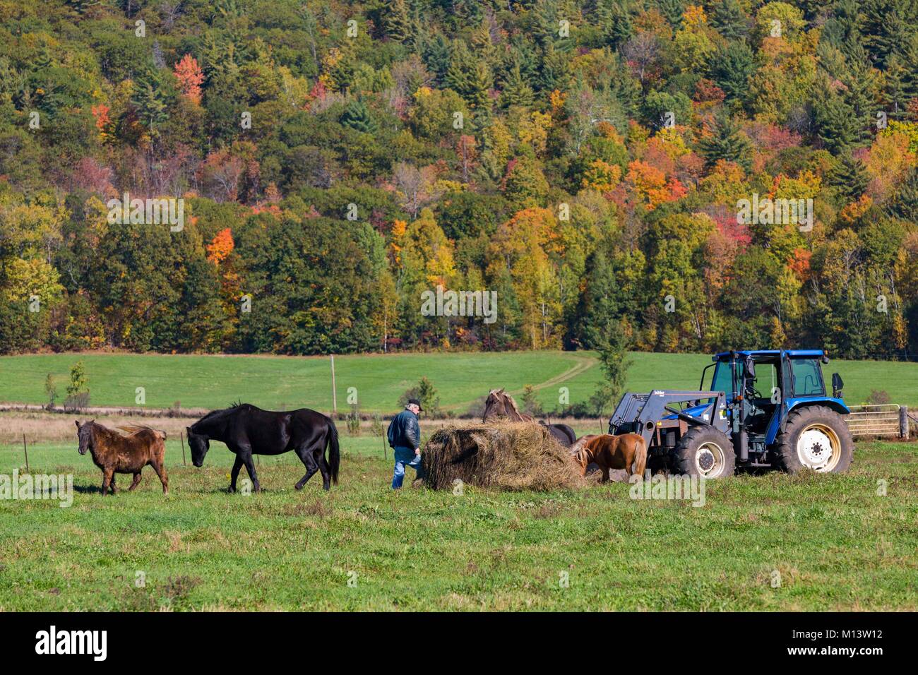 Canada, province de Québec, Outaouais, la région du Pontiac, Sheenboro ...