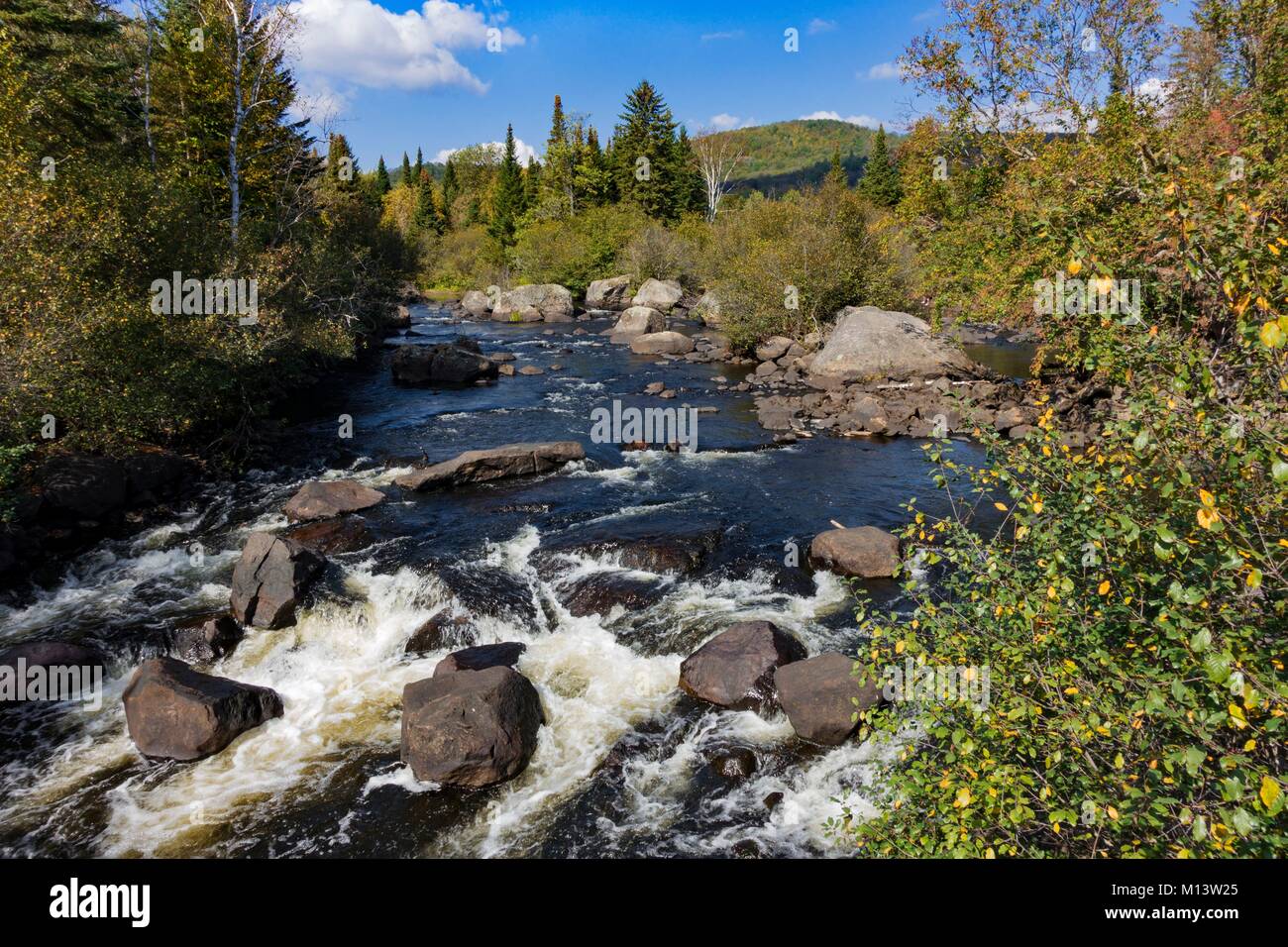 David river hi-res stock photography and images - Alamy